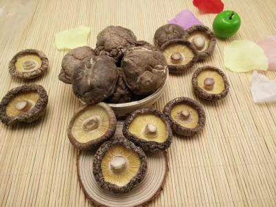 China Factory Price Premium Thick Brown Dried Shiitake Mushroom Whole 4-6CM for sale