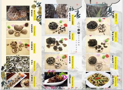 China Factory Price Premium Bulk Dried Black Fungus and Dried Mushroom Shiitake from China for sale