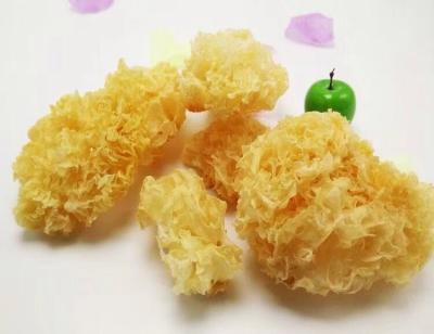 China Factory Price Premium Bulk Dried Gold Yellow Tremella /Snow Tremella/White Tremella for sale