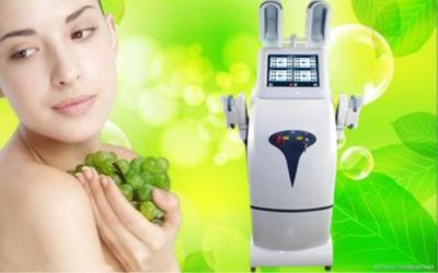 China Professional cryolipolysis shaping machine fat melting machine for sale