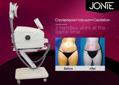 China Two Handles Portable Cool Sculpting Cryolipolysis Slimming Machine For Fat Reduction for sale