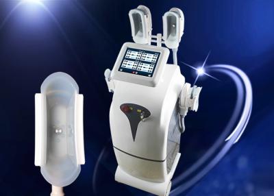China Salon Use Vacuum Cryolipolysis Slimming Machine with 7 LED Lights for sale