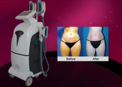 China Easy to use 10 Inch Screen Cryolipolysis Body Slimming Machine with teaching video for sale