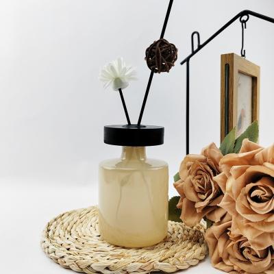 Cina Bottiglia di vetro per aromaterapia 50ml/100ml/200ml Capacità Materiale di vetro Difusione di canna in vendita