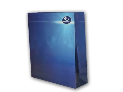 China Blue Color Paper Bag , Custom Printing Paper Bags For Shopping for sale