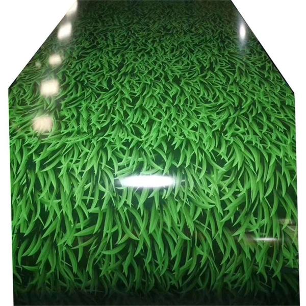 Quality ASTM A755M Ppgi Prepainted Gi Steel Coil Popular Little Grass Pattern for sale