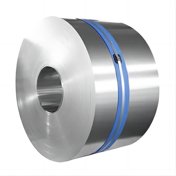 Quality 3000 Grade Alloy 3004 Aluminium Alloy Coil 3004 Coil Aluminum For Packages for sale