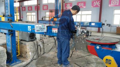 Cina Colonna dello SpA e manipolatore dell'asta in vendita