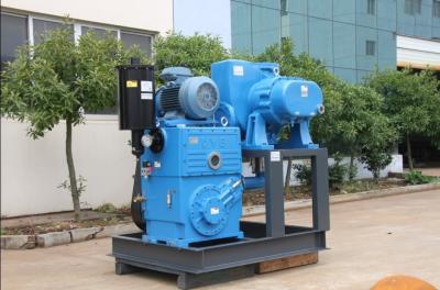 China Roots Pump with ROTARY PISTON Pump Vacuum System for sale