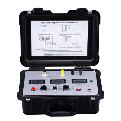 China 10mA Insulation Resistance Meter, 0.01MΩ~1999GΩ with 500kV Anti-Interference for sale