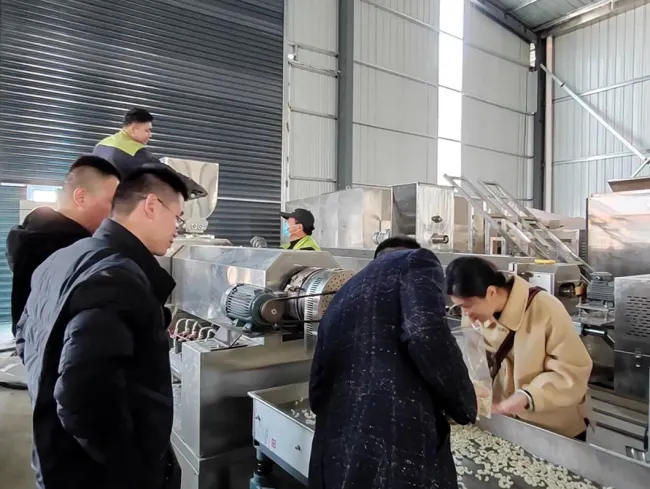 Automatic Snack Grain Bag Packaging Machine