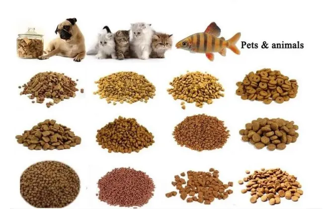 100-150kg/H Food Grade Dry Dog Cat Pet Food Making Machine Floating Fish Feed Extruder