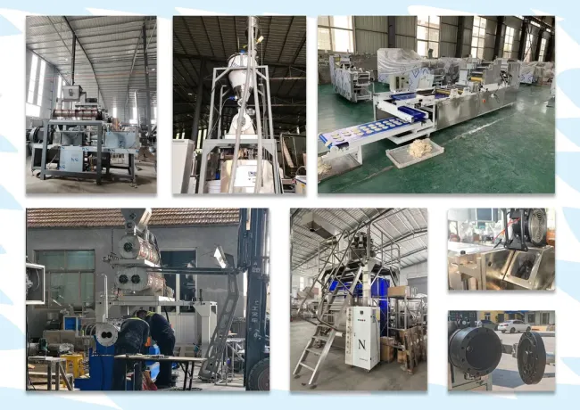 Stainless Steel Dry Pet Dog Food Making Machine