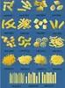 Quality 200-260kgs/Hr Macaroni Making Pasta Making Business Machinery Production Line for sale