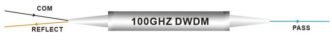 DWDM F.jpg