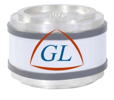 China Fixed Vacuum Capacitor CKT450/33/170 for sale