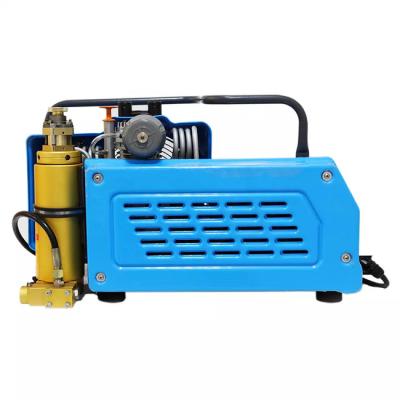Cina Compressore d'aria portatile ad alta pressione da 300 bar, respirazione subacquea 4500 psi in vendita