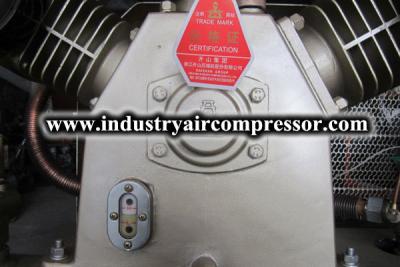 China Automatische Energie - Compressor van de besparings de Industriële Lucht met Levensduur Met lage snelheid, Lange Te koop