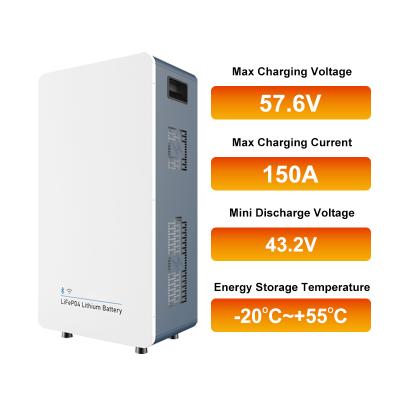 Cina Sistema di accumulo di energia solare domestica All in One 51.2V 16kwh 314Ah Battery Pack con Smart BMS Backup in vendita