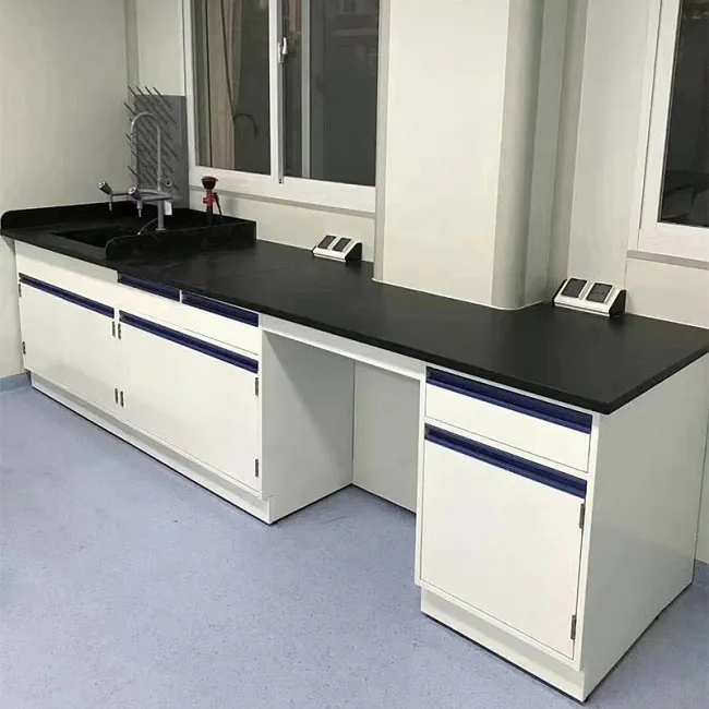 Laboratory Epoxy Resin Board Steel-Wood Bench Lab Side Workbench with Cabinets