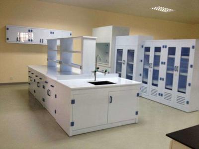 China Wholesales Supply High School Lab Bench With PP Material For School Physical Laboratory for sale