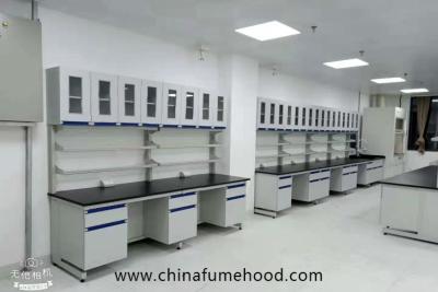Cina Mobilia su misura del laboratorio di chimica della parete con l'acido di resistenza dello scaffale del reagente in vendita
