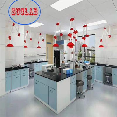 China Wholesale Cheap Price Cold Rolled Steel Structure Floor Mounted  Laboratory Workstation Supplier Hong kong for sale