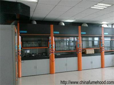China Wholesales Customization Fuming Hood With The Pipe of Fume Cabinet For Oversea Sellers for sale