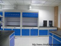 China Lab Draught Cupboard With Ventilation System For Laboratory Equipment for sale