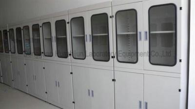 China Galvanized Steel Laboratory Storage Cabinets , Chemical Reagent Storage Cabinets for sale