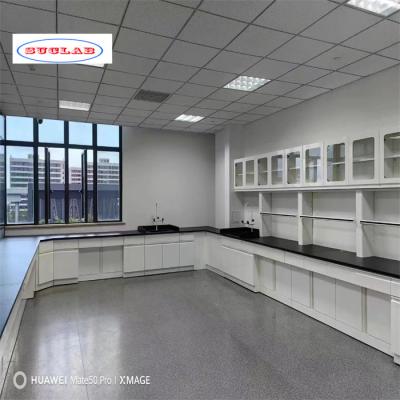 中国 標準サイズ 汎用 実験室家具 実験室ケースワーク 様々な科学用途 販売のため