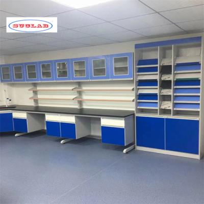 China Acceptable OEM/ODM Chemistry Lab Furniture Lab Workstation for Laboratories for sale