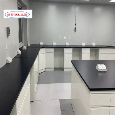 중국 표준 사양과 2 레일로 만들어진 전체 철강 화학 실험실 벤치 판매용