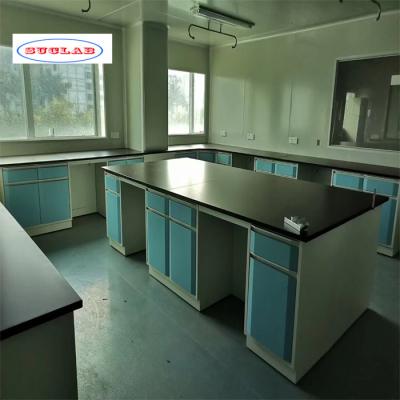China 2-Handle Chemistry Lab Casework Laboratory Bench Fabrikanten Premium kwaliteit 2 Kasten inbegrepen Te koop