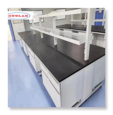 China Functional Lab Wall Benches Enhancing Safety with PP Construction for sale
