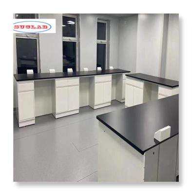 China Functional Lab Wall Benches Enhancing Safety with PP Construction for sale