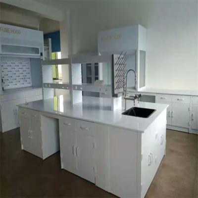 中国 耐久性 化学 実験室 家具 パーソナライズ可能 耐久性 販売のため