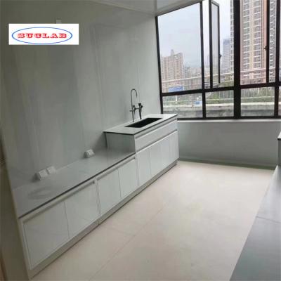 중국 사용자 정의 가능한 화학 실험실 가구 PP 재료를 저장하기 위한 실험실 작업대 판매용