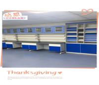 China Durable Lab Wall Benches With Customizable Options And Powder Coating for sale