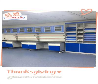 中国 パーソナライズ可能なオプションと粉末コーティングの耐久性のあるラボ壁ベンチ 販売のため