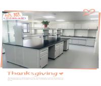 China Durable Lab Wall Benches With Customizable Options And Powder Coating for sale