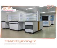 China Durable Lab Wall Benches With Customizable Options And Powder Coating for sale