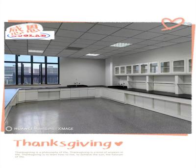 China Muebles de laboratorio de química modular para laboratorios de exportación en venta