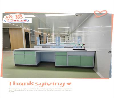 China Muebles de laboratorio de química modular para laboratorios de exportación en venta