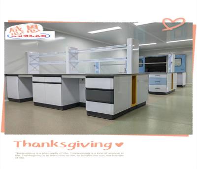 China Banco de Ilha de Laboratório Personalizado Pacote de madeira contraplacada de exportação para mobiliário de laboratório Estrutura modular à venda