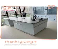 China Smooth Functionality Chemistry Lab Bench laboratory Workbenches- Polished Surface Multifunctional Design for sale