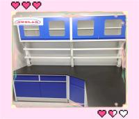 China Durable Chmiestry Lab Bench  Lab Caseworks with PP Drawer for Educational Institutions for sale