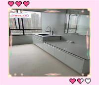 China Durable Chmiestry Lab Bench  Lab Caseworks with PP Drawer for Educational Institutions for sale