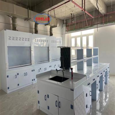 China Safe and Efficient Chemical Fume Hood Lab Fume Cupboard for 1 Year with Microcomputer Control System for sale