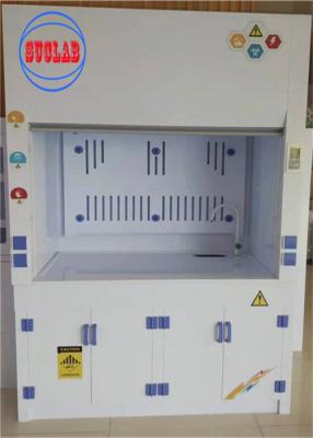 China 1 Year Horizontal Chemical Fume Hood With Scrubber for Efficient Ventilation for sale